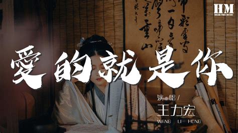 王力宏 愛的就是你你就是我唯一 我唯一愛的就是你動態歌詞Lyrics YouTube