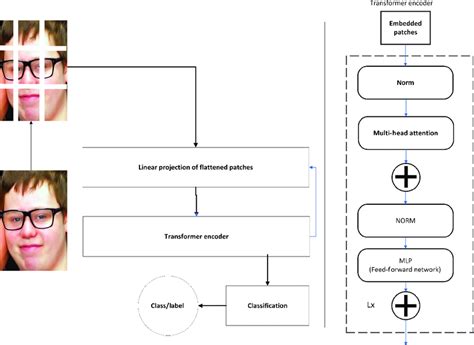 Feature Extraction Module Download Scientific Diagram