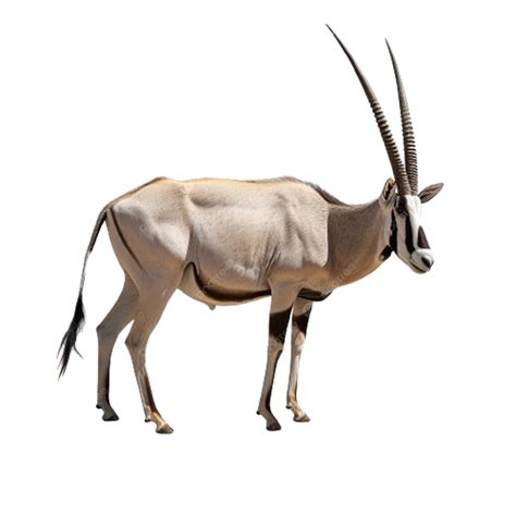 Cara De Gacela Cara Delevingne At The Lacma Gala 2024 In La