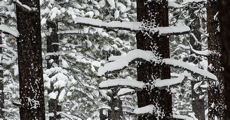 Stigmatizing Language In Mental Health And Addiction Psychology Today