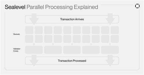 What Is SVM The Solana Virtual Machine Squads Blog