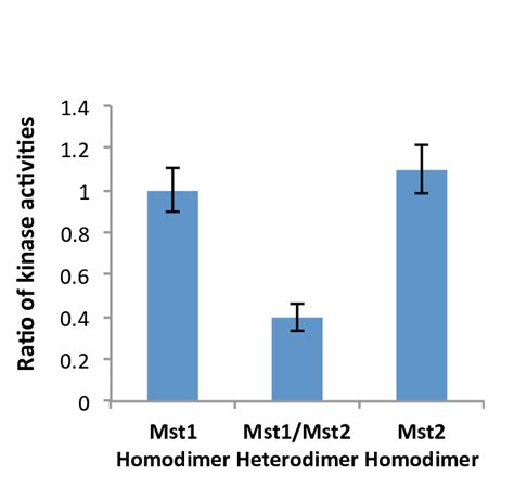 Figure S Quantification Of Mst Kinase Activity Using MBP As Download Scientific Diagram
