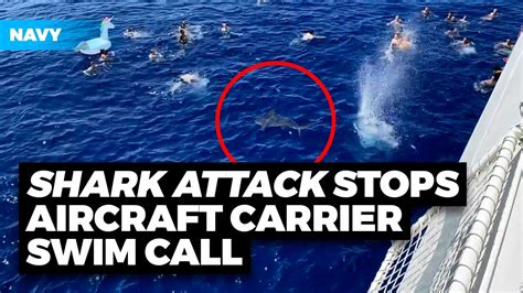Aircraft Carrier Swim Call Interrupted By Shark Attack Youtube