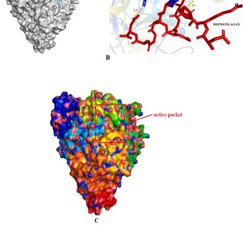 Molecular Docking Position Analysis Of Download Scientific Diagram