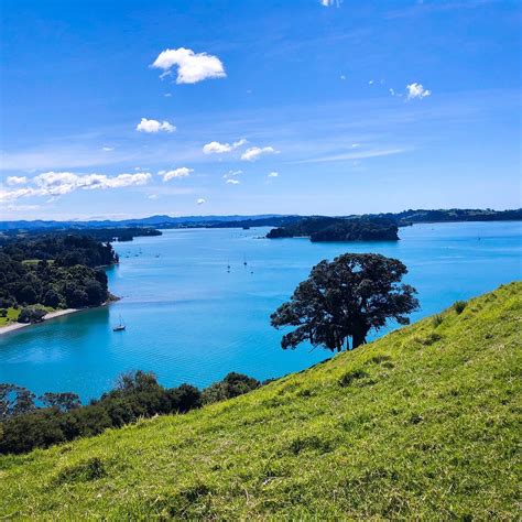 Mahurangi Regional Park 2026 Alles Wat U Moet Weten Voordat Je Gaat