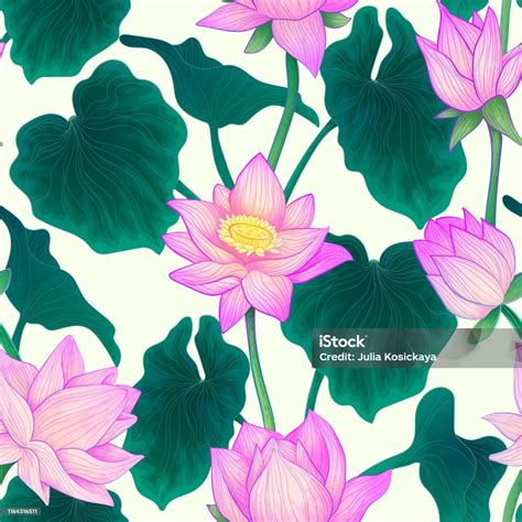 수련 꽃 꽃 꽃 봉오리와 수채화 모방과 잎 그림과 원활한 벡터 패턴 흰색 배경에 연꽃 요소와 손 그리기 중계기 배경 꽃 식물에