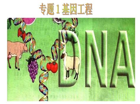 基因工程 Word文档在线阅读与下载 免费文档