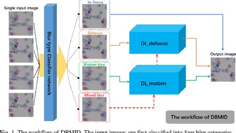Figure From Blind Deblurring For Microscopic Pathology Images Using Deep Learning Networks