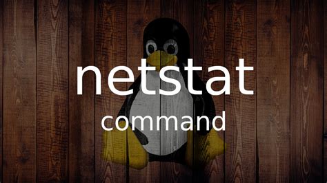 Linux Netstat 命令使用指南