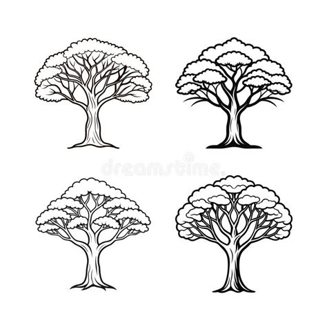 Bold Tamarind Tree Illustration With Clear Outline Stock Vector Illustration Of Decor Bare