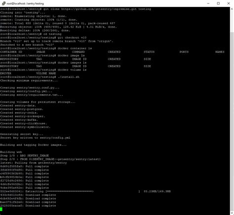 New Sentry 10 Docker And Git Versions Unable To Get Past Error On Premise Sentry