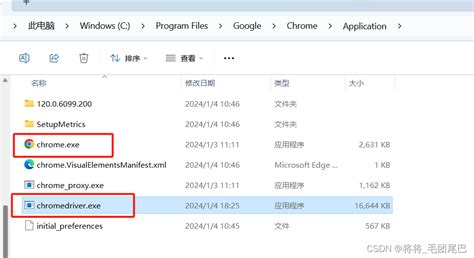 Selenium 安装chrome驱动selenium谷歌驱动 Csdn博客