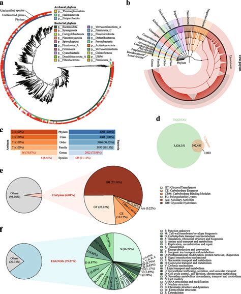 Taxonomic And Functional Annotation Of The Gmmc Genomes A The Download Scientific Diagram