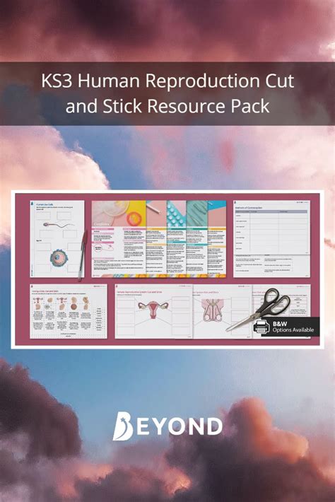 Ks3 Human Reproduction Cut And Stick Resource Pack