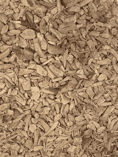 Ceanothus Americanus Perfect Herbs