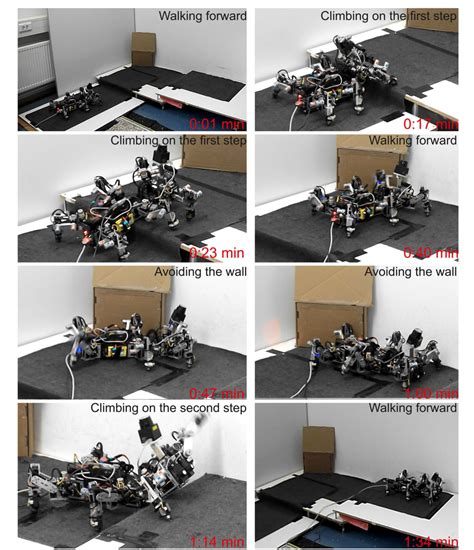 Figure 10 From Synaptic Plasticity In A Recurrent Neural Network For Versatile And Adaptive