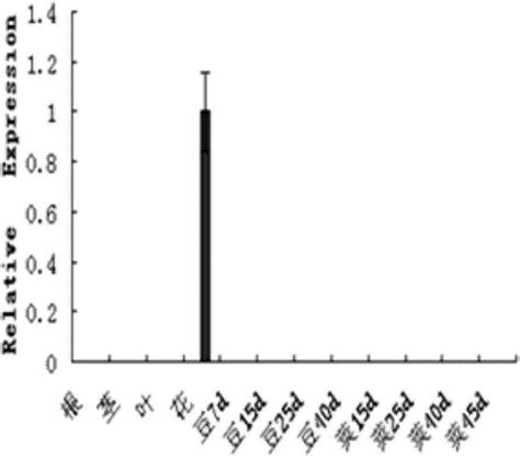 Application Of Soybean Myb Transcription Factor Gmmyb181 Eureka Patsnap Develop Intelligence