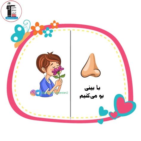 آموزش حواس پنجگانه برای کودکان دبستانی