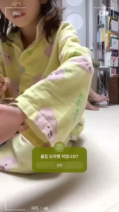 심쿵주의 귀여운 도마뱀 Youtube