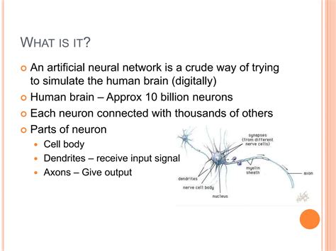 Artificial Neural Networks A Gentle Introduction To Annspptx