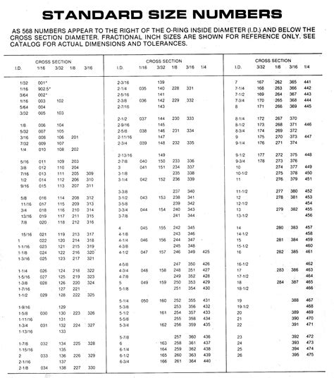 Dental Oring Size Chart Pe