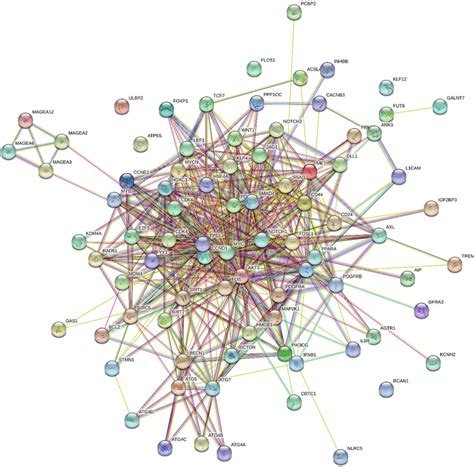 Co Expression Relationships Among Target Genes Of Mir 34a 5p Derived Download Scientific