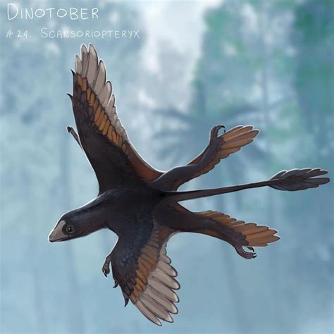 Scansoriopteryx