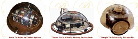 The History Of Turtle Robots