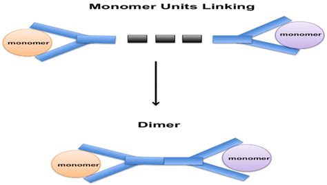 Dimer Chemistry Alchetron The Free Social Encyclopedia