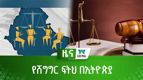 የሽግግር ፍትህ በኢትዮጵያ Youtube