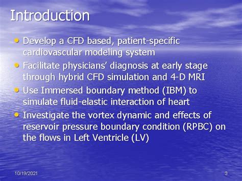 Patientspecific Cardiovascular Modeling System Using Immersed Boundary Technique