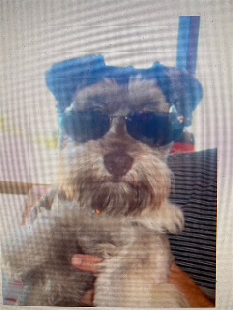 Denise Boyd Waggoner