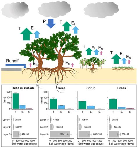 Hess Relations Quantification Of Ecohydrological Sensitivities And
