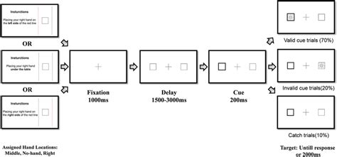 A Graphic Depiction Of The Attentional Cueing Paradigm Used In The Download Scientific Diagram