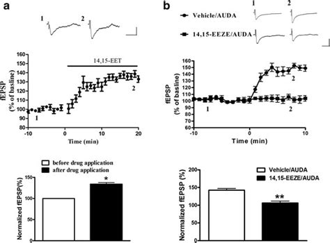 Enhancement Of Synaptic Response By Eets At Prefrontal Cortex Synapse