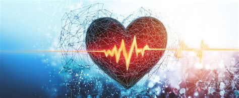 Ontology Guided Machine Learning Outperforms Zero Shot Foundation Models For Cardiac Ultrasound