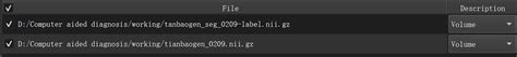 How To Really Select A QComboBox Programmly Development 3D Slicer