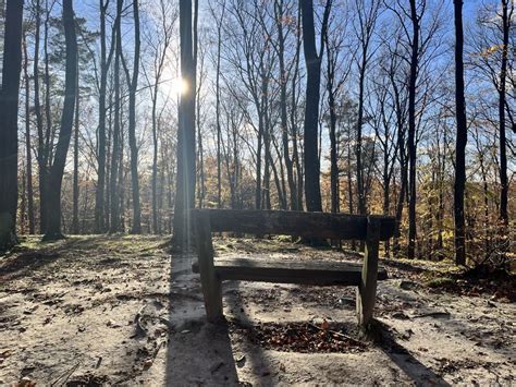 It Has Been 5 Months Since I Have Started My Intentional Career Break And I Thought I Would