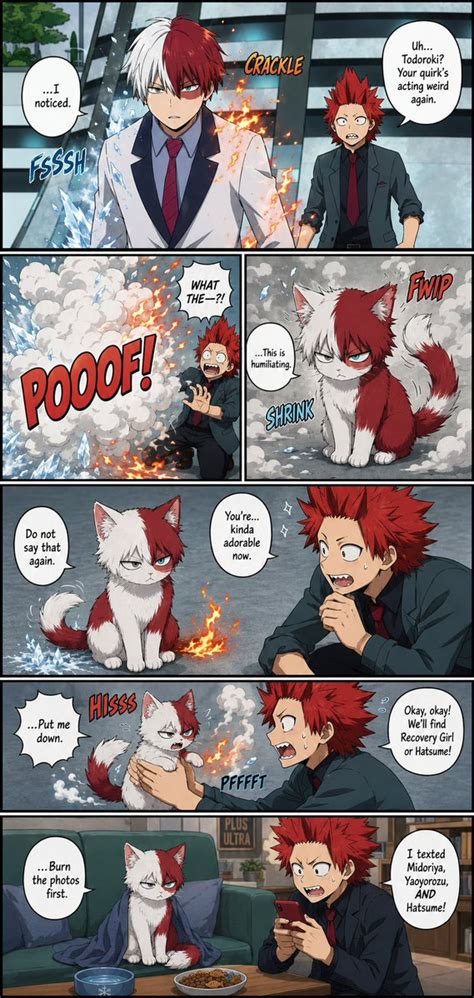 My Hero Academia Shoto Todoroki Cat Transformation