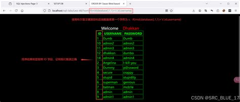 Sqli Labs Less 48 Get Error Based Blind Numeric Order By Clausesqlilabs靶场48 Csdn博客