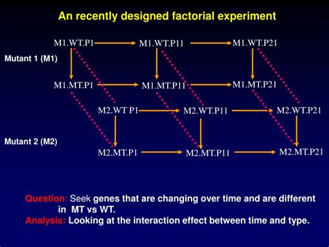 Ppt Some Thoughts Of The Design Of Cdna Microarray Experiments
