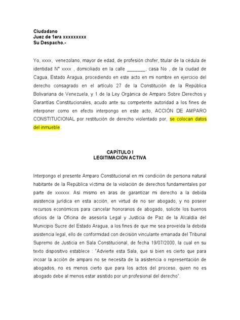 Modelo De Amparo Constitucional Pdf Derecho Constitucional Ley Común