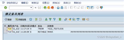 abap常用表锁 abap 锁表 csdn博客