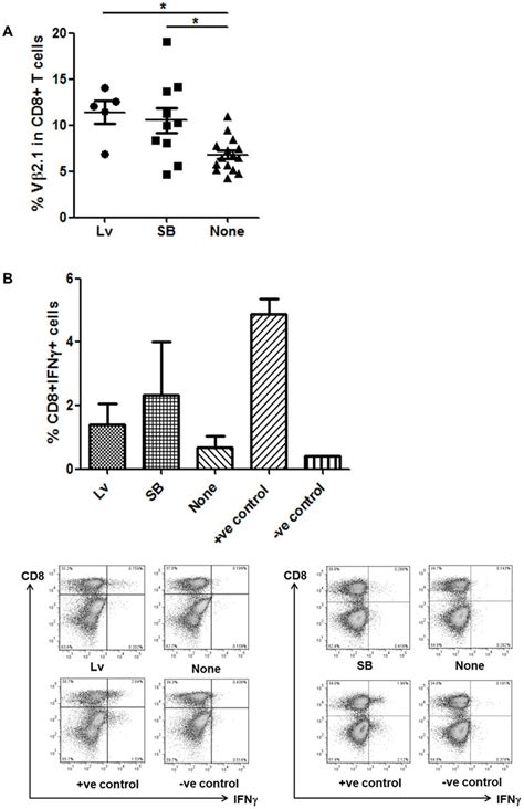 Wt1 Tcr Expression And Function In Human Primary T Cells A Wt1 Tcr