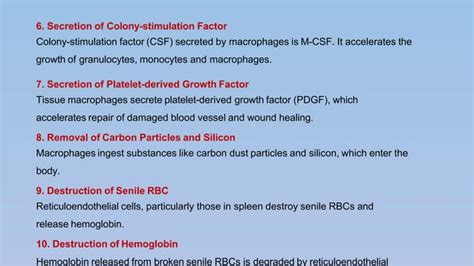 WBCs Structure Synthesize And Formation Of Wbc Pptx