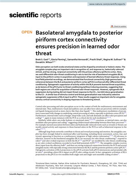 Pdf Basolateral Amygdala To Posterior Piriform Cortex Connectivity