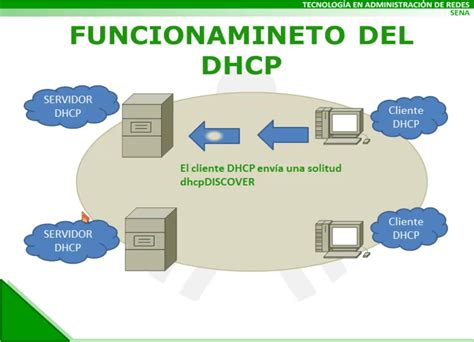 Que Es Dhcp Y Como Funciona Un Servidor Dhcp Ionos Images Eroppa