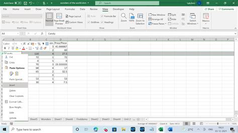 How To Insert Any Type Of Data Or Object Into An Existing Document VBA And VB Net Tutorials