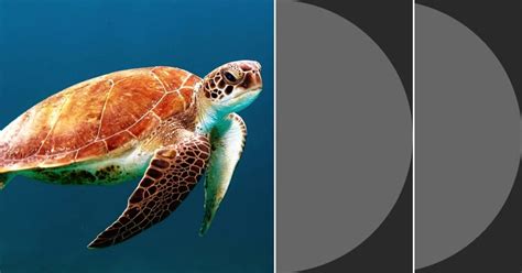 List Visualization Curated By Damilola Agboola Medium