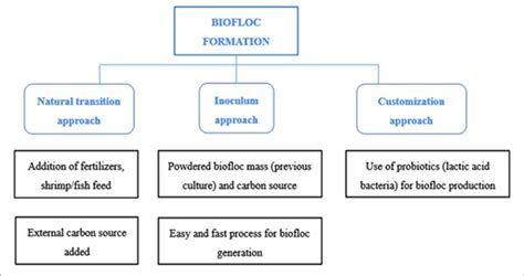Schematic Diagram Of Various Methods To Generate Biofloc Based